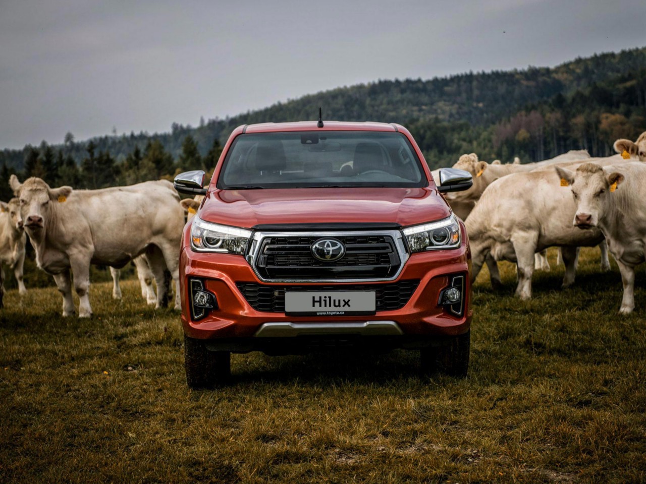 Toyota Emil Frey - Toyota Hilux | Nezastavitelný již od roku 1968.